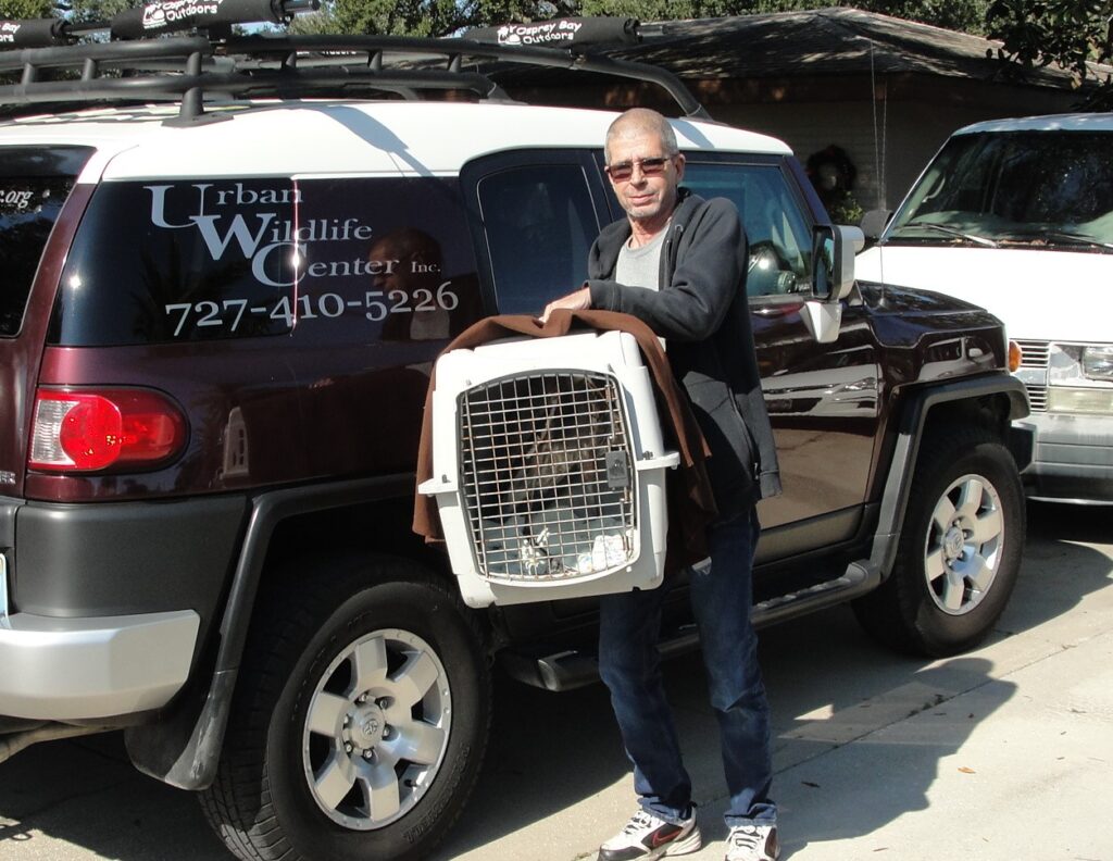 seaside wild bird rescue – Thousands of birds saved since 2013